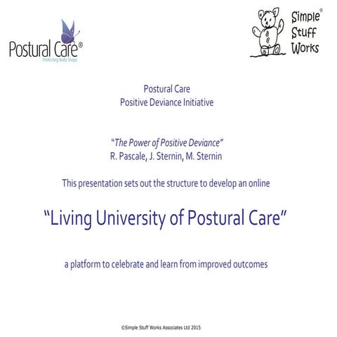 Simple Stuff Works Postural Care | PPT