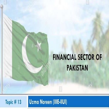 economy of pakistan financial sector | PPSX