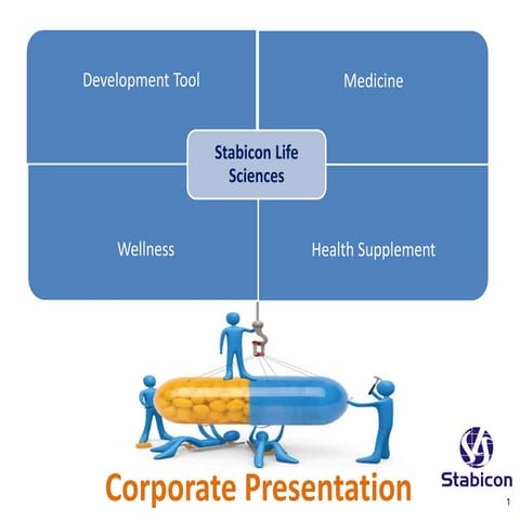 Stabicon Presentation | PDF