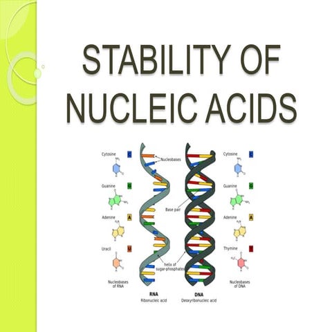 Stability of nucleic acids | PPTX