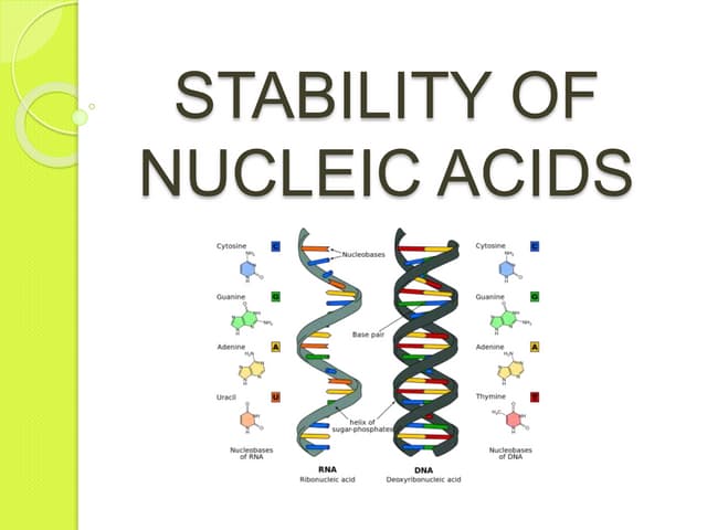 Nucleic Acid