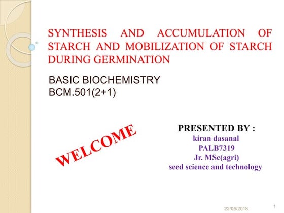 Biosynthesis of sucrose and starch | PDF | Chemistry | Science