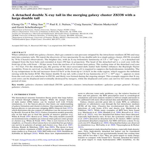 A detached double X-ray tail in the merging galaxy cluster Z8338 with a ...