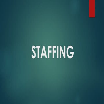 organization and management staffing PowerPoint .pptx
