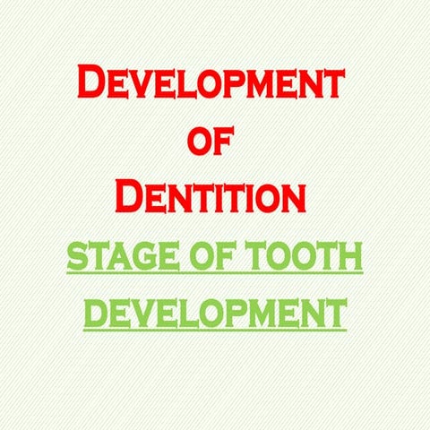 stage-of-tooth-development-1.pptx presentation | PPTX
