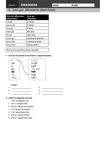 HAVE GOT 2 (AFFIRMATIVE) | PDF