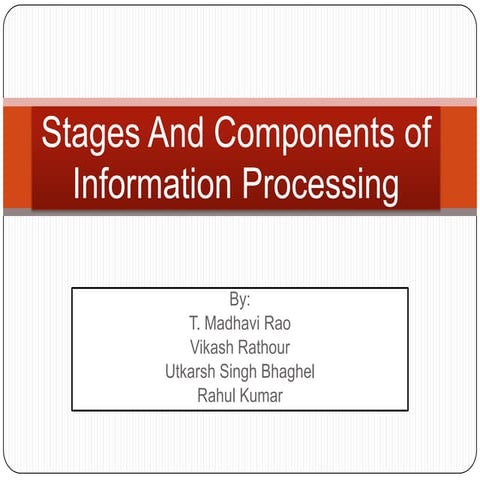 Stages and components of ip | PPT