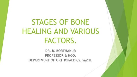 Bone healing | PPT