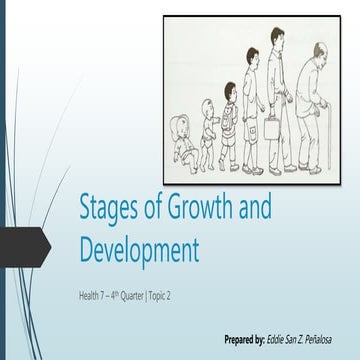 Stages of Growth and Development | PPTX