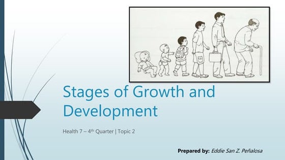 Stages of development | PPT