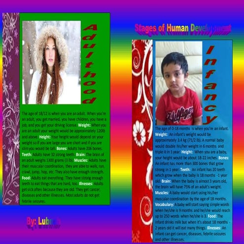 Stages of human development | DOCX