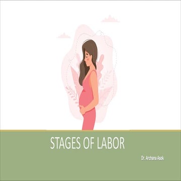 Stages of labour | PPTX