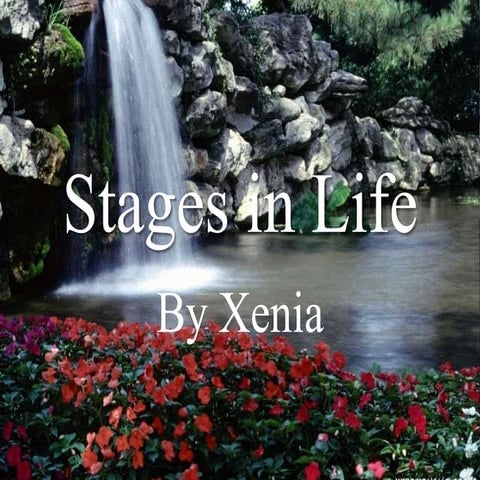 Stages of life | PPTX | Islam | Religion & Spirituality