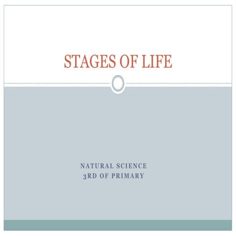 Stages of life 3rd primary | PPT