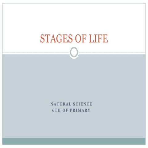 Stages of life 6th primary | PPTX