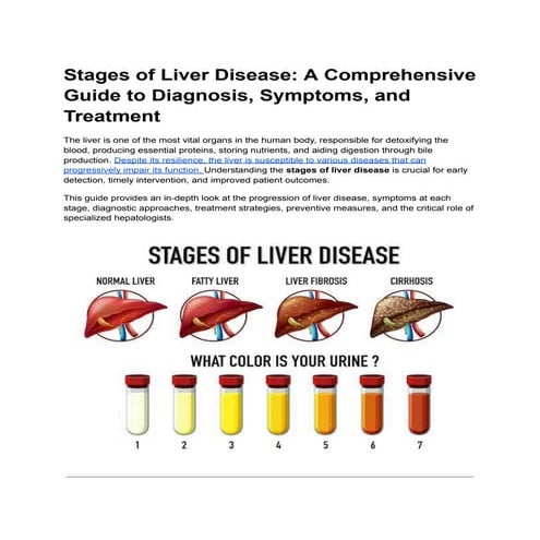 Stages of Liver Disease_ A Comprehensive Guide to Diagnosis, Symptoms ...