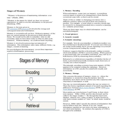 Stages of memory | DOCX