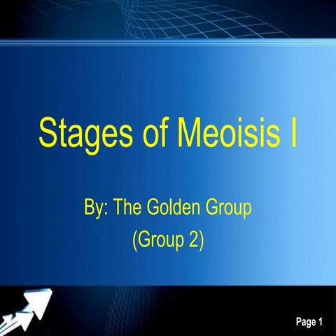 Stages of meoisis i (1) | PPTX