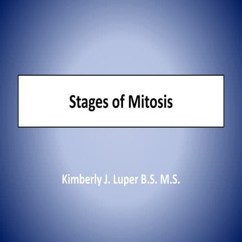 Stages of mitosis final project itp | PPTX