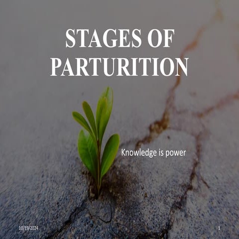 Presentation about STAGES OF PARTURITION.pdf