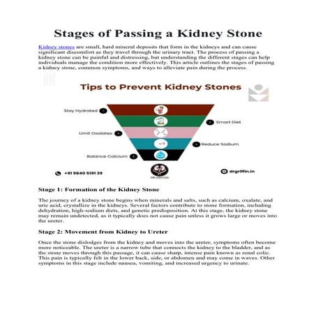 Stages of Passing a Kidney Stone.pdf.... | PDF