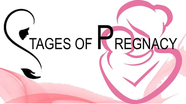 Pregnancy_Phases_Presentation for beginners.pptx