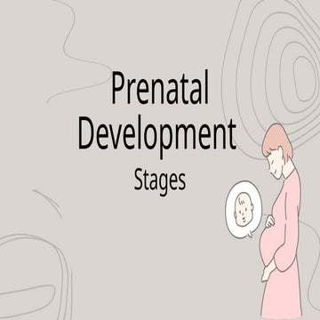 stages of prenatal development developmental psychology .pptx