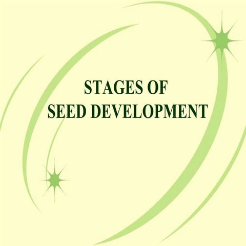 Stages of seed development | PPTX
