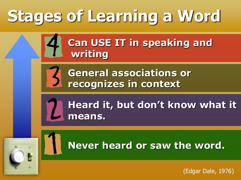 Stages of word learning