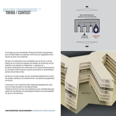 Stagg Healing Environment | PDF