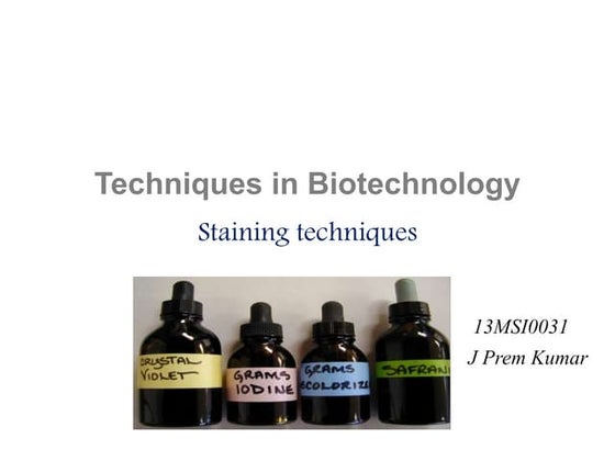 Preparation of Temporary Slides.pptx