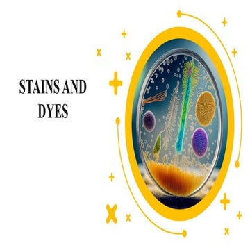 Staining.pptx staining is a technique used to | PPTX