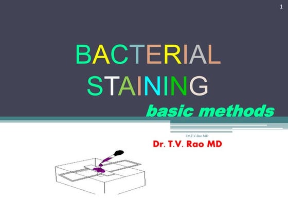 Gram Staining PDF.pdf