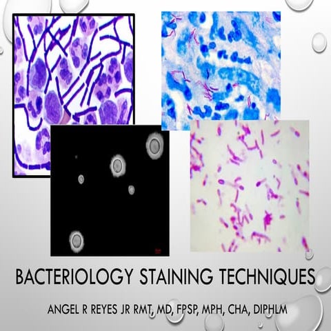 Stains and staining techniques | PPTX
