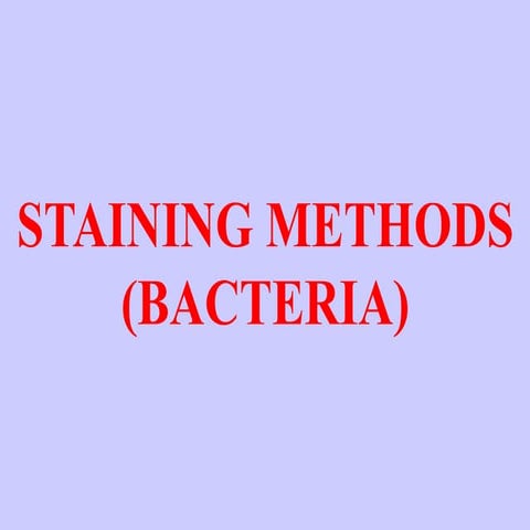 staining methods.pptx for bacteria best slides for presentation | PPTX