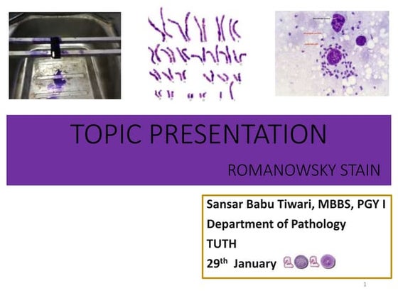 ROMANOWSKY STAINS-1.pptx | Skin Care | Beauty