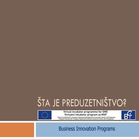 Sta je preduzetnistvo | PPT