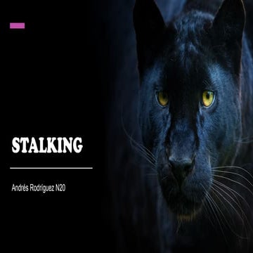 Presentación sobre el stalking realizada en powerpoint | PDF