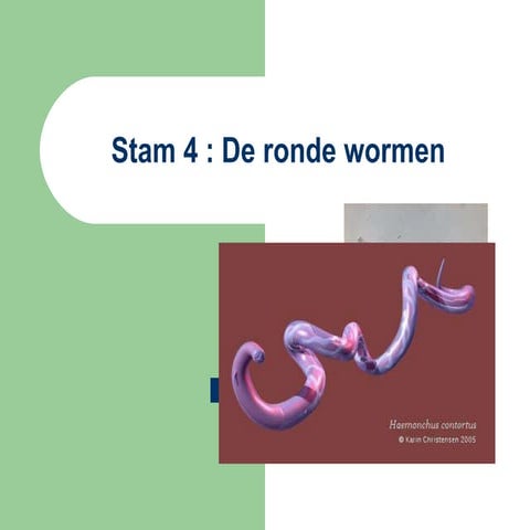 Biologie: De ronde wormen | PPT