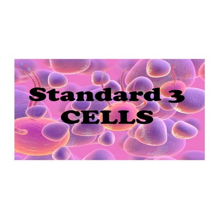 Standard 3.1 Cells Booklet | PDF