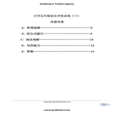 Primary 5 Chinese Grammar Part 2 | PDF