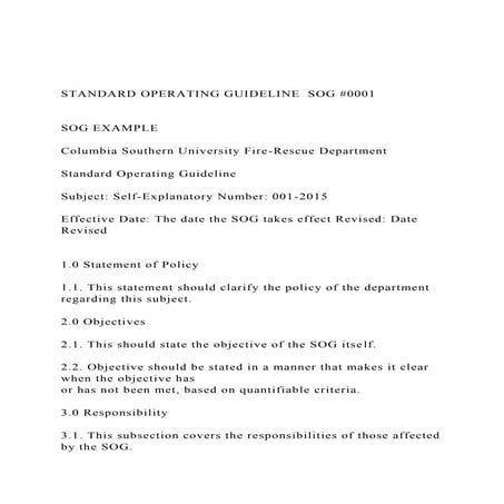 STANDARD OPERATING GUIDELINE SOG #0001 SOG EXAMPLE .docx