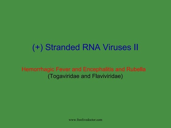 Lesson 2-How does coronavirus spread | PPTX