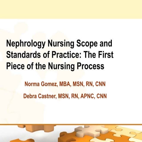 standardsOfPractice.ppt