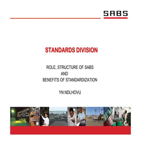 Standards process development & benefits | PDF
