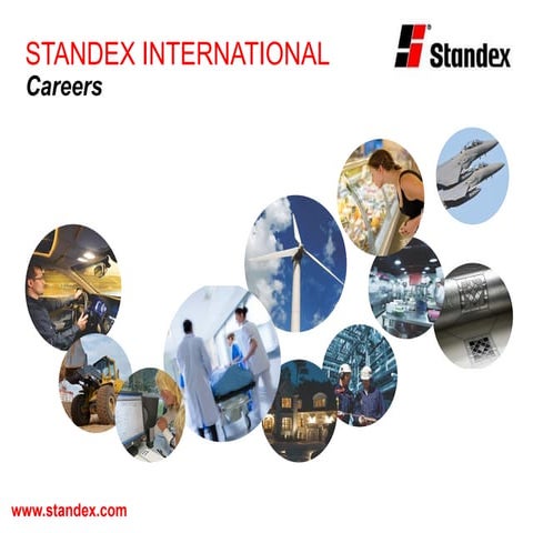 Careers at Standex | PDF