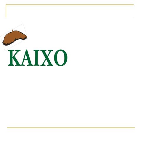 Stanford_ Opportunity Analysis Project (OAP) | PPT