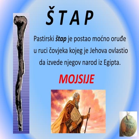Stap | PPT