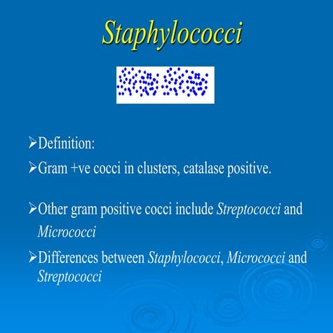 Staphylococci...ppt