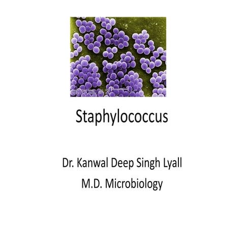 Staphylococcus | PPTX